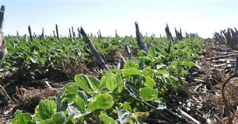 As Usda Sees Record Interest In Conservation And Clean Energy Programs As Usda Sees Record Interest In Conservation And Clean Energy Programs
