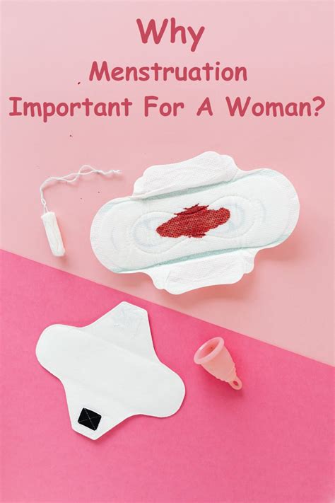 Why Is Menstruation Important For A Woman Menstrual Cup And Pms