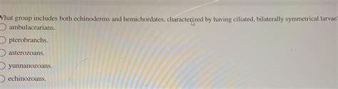 Solved What Group Includes Both Echinoderms And