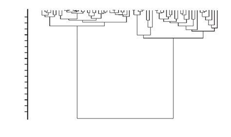 Dendrogram Constructed By Upgma Based On The Manhattan Distances Matrix