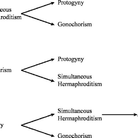 Proposed Evolutionary Transitions Between Sexual Patterns Within The Download Scientific