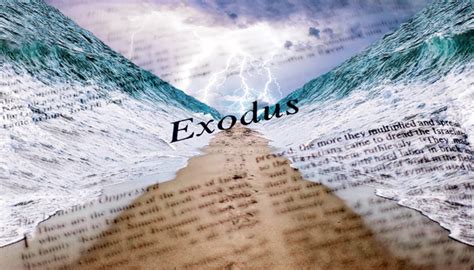 Exodus Bible Book