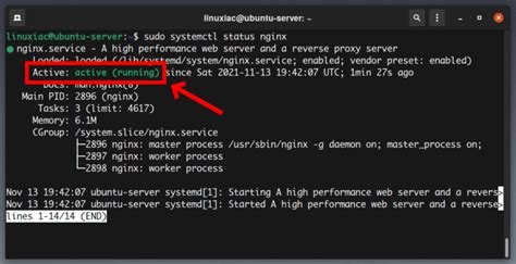 How To Install Nginx Web Server On Linux
