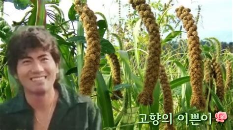 나훈아🌻고향의이쁜이 Youtube