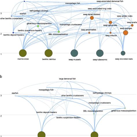 Mixed Trophic Impacts Of A The Seep Model And B The Model Without