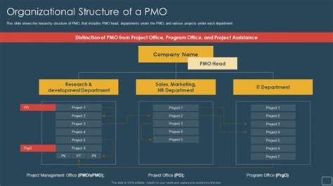 Pmo Organizational Structure Understanding Organizational Structures