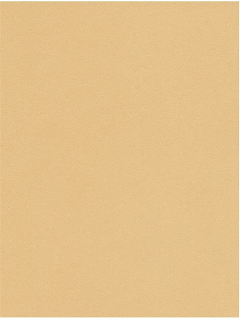 Chapter 1 Important Questions History Pdf