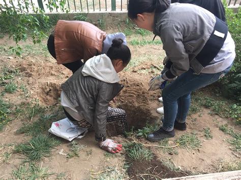 2018 05 ~ НИЙСЛЭЛИЙН ЕРӨНХИЙ БОЛОВСРОЛЫН ЛАБОРАТОРИ 28 ДУГААР СУРГУУЛЬ