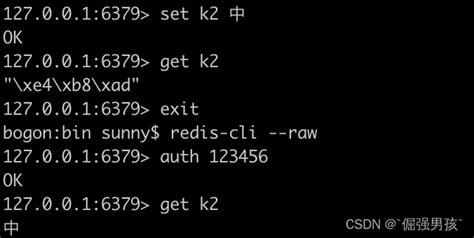 关于redis的二进制安全 redis二进制安全 csdn博客