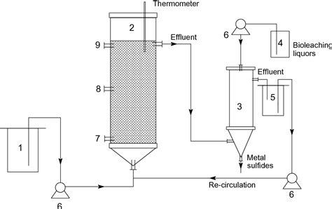 Figure 1 From Precipitation Of Valuable Metals From Bioleaching