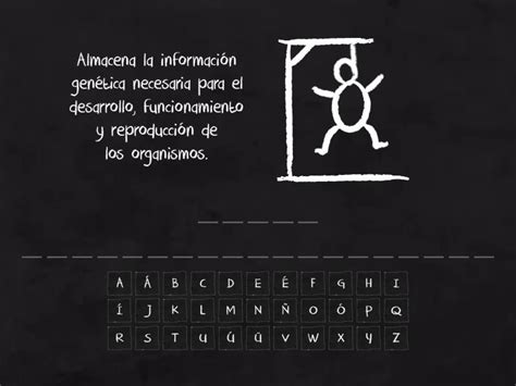 El Adn Estructura Y Funcionamiento Cierre Hangman