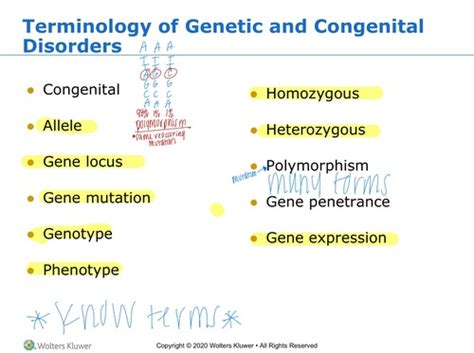 Chapter 5 Genetic And Congenital Disorders Flashcards Quizlet