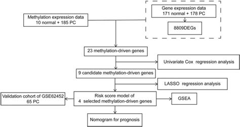 Identification And Validation Of Constructing The Prognostic Model With Four Dna Methylation