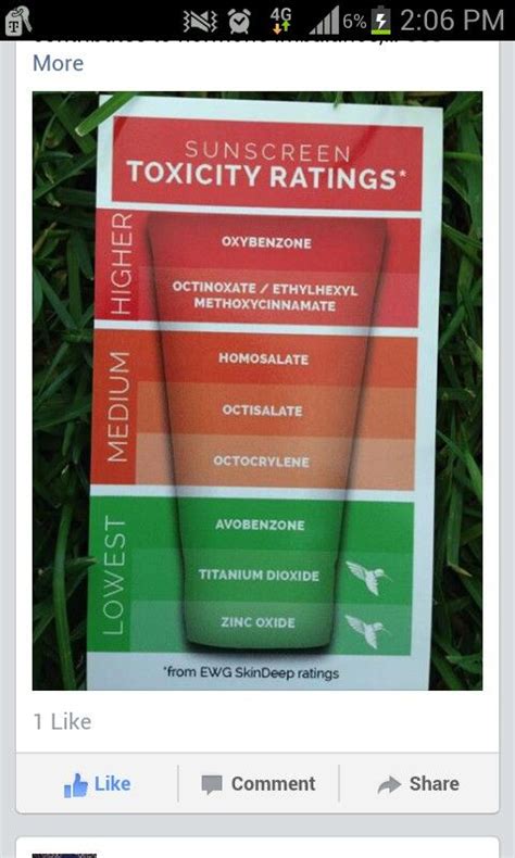 Sunscreen Ingredient Toxicity Levels Sunscreen Ewg Book Cover