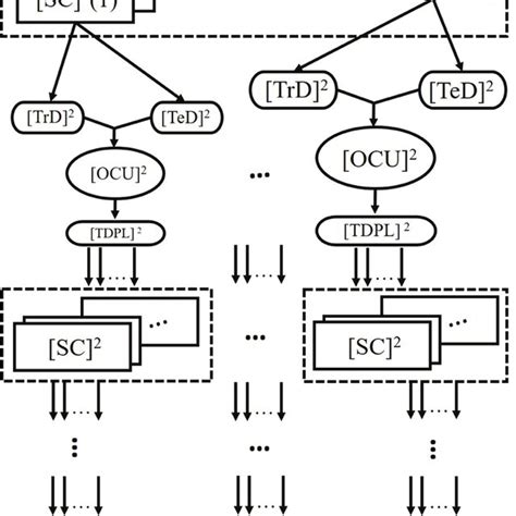 Hierarchical Classification Strategy Where C K Ij Download