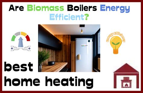 Are Biomass Boilers Energy Efficient
