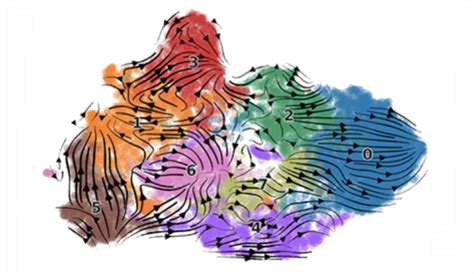 Supporting Better Data Management Practices For High Throughput