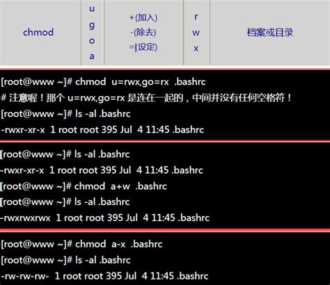 Linux命令大全（非常详细）从零基础入门到精通，看完这一篇就够了linux基础命令 Csdn博客