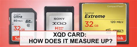 XQD Memory Cards How Do They Rank
