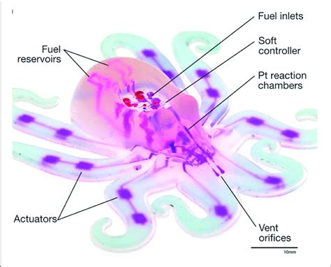 The Design Of The So Called Octobot Is Taken From The Octopus It Is