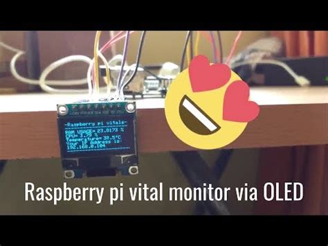 MiniProject Raspberry Pi Vital Monitor Via OLED YouTube