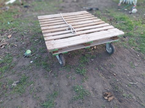 Палетна количка с Тополи • Olx Bg