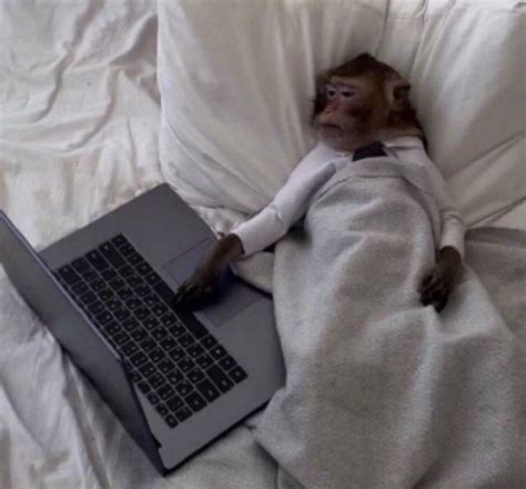 Sedrick Nyanyiwa On Linkedin Trying To Write Code In January