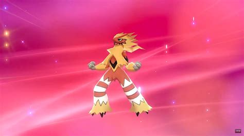 Male And Female Blaziken Male And Female Blaziken