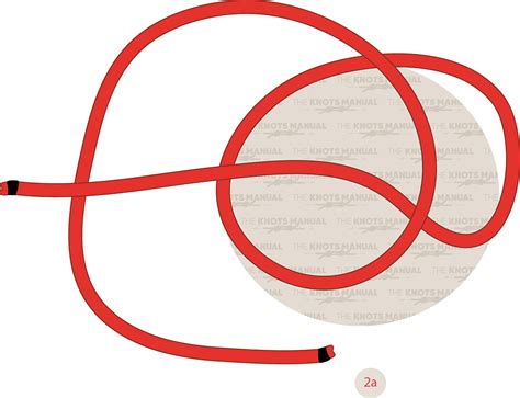 Illustrated Guide How To Tie A Perfection Loop Knot