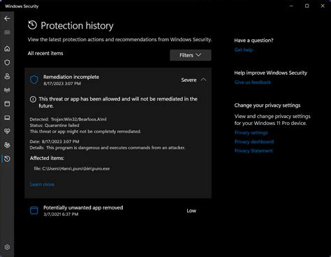 Windows Defender Flags Puroexe As A Trojan · Issue 32 · Pingbirdpuro