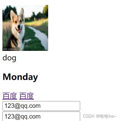vueVM对象和基础指令 vue vm CSDN博客