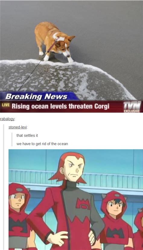 saw this while scrolling r teammagma