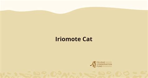 Iriomote Cat Felidae Conservation Fund