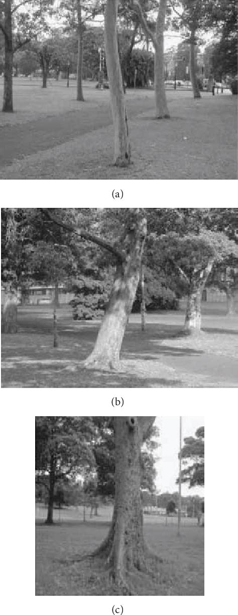 Figure 1 From Distributed Slam Using Improved Particle Filter For