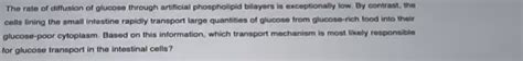 Solved The Rate Of Diffusion Of Glucose Through Artificial Chegg Com