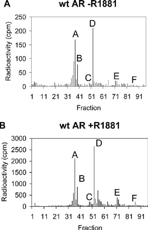 Figure 2 From Phosphorylation Of Androgen Receptor Isoforms Semantic
