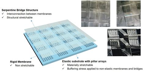 Updated Stretchable Oled Display Proof Of Concept From Kaist Electronics Weekly