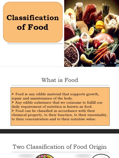 classification of food pdf
