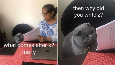 Xzbackdoor Infosec Redteam Malware Hacking Nikhil T