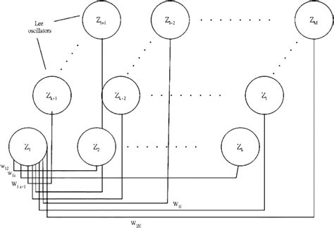 Tcan Using Lee Oscillators Download Scientific Diagram