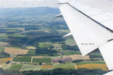 美瑛・富良野へ 夏 Berrys Bird