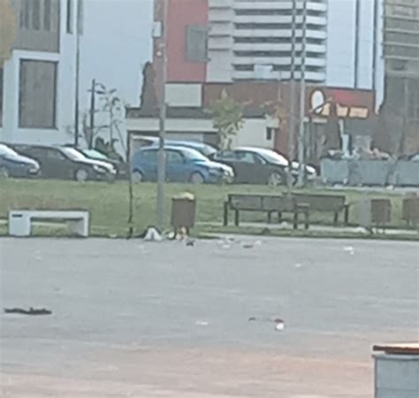 Писмо суграђанке о несавјесном бацању смећа ФОТО Катера