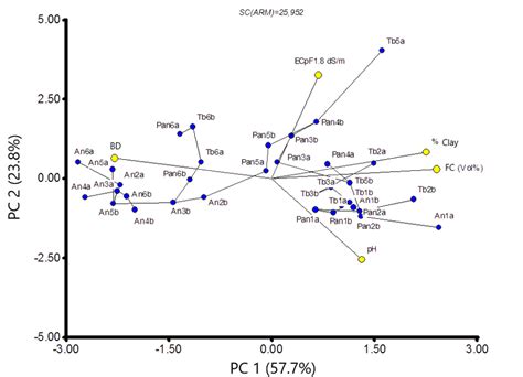 Minimum Path Tree An Annual Grassland Pan Vine Mesquite Tb