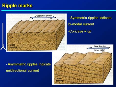 Solved A Sedimentary Structure That Indicates Water Flowing In One