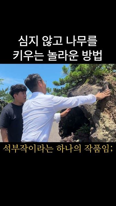 돌에 붙어서 자라는 나무 Youtube