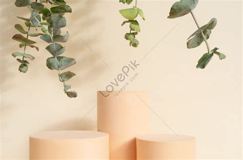 유칼립투스 배경 이미지 사진 및 Png 일러스트 무료 다운로드 Lovepik