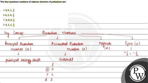 The Four Quantum Numbers Of Valence Electron Of Potassium Are Youtube