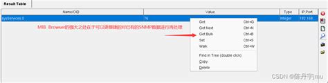Snmp 计算机网络管理 实验2二 Snmp服务与常用网管命令之任务三：对同学的计算机进行网络管理 任务四：查询计算机网卡的相关信息熟练