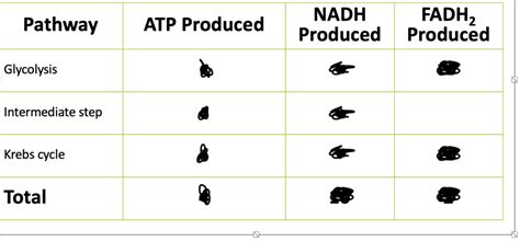 Chart Diagram Quizlet