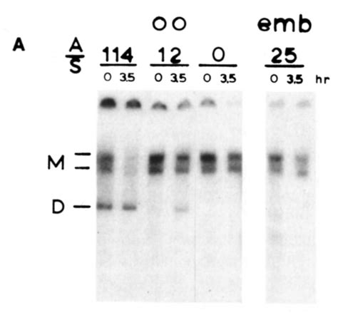 Javascript Angularjs 2 Typescript App Permentaly Moved Stack Overflow